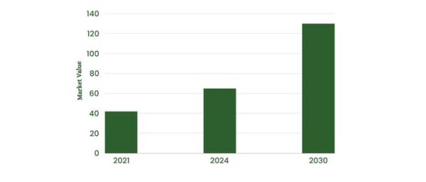 Pharmaceutical Distribution Networks in India | Actiza