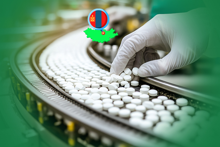 Pharmaceutical Tablet Manufacturing Process for Mongolia